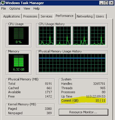 Windows successfully diagnosed a low virtual memory condition