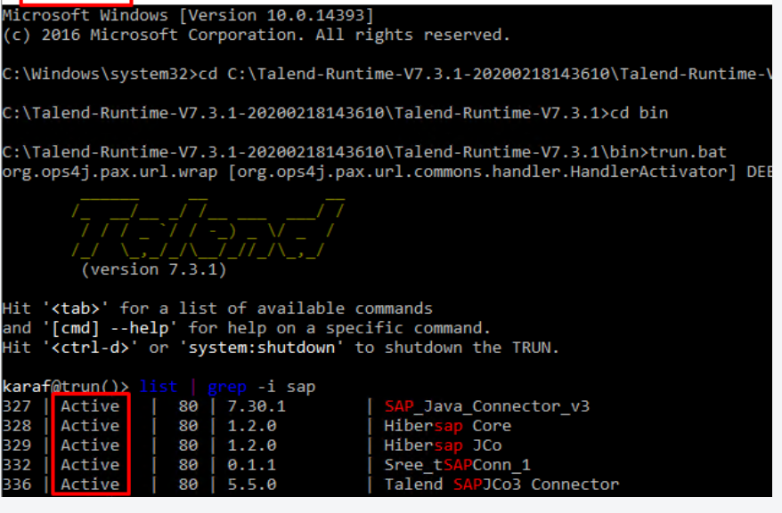 SAP-Runtime Issue -Unable to initialize bean .component-1