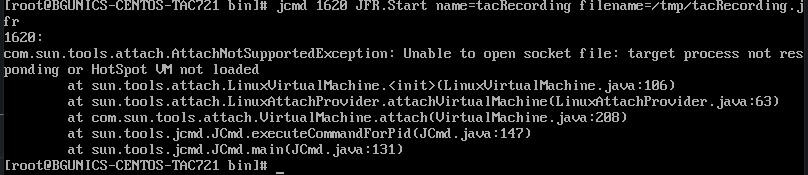 Using VisualVM to record Java issues